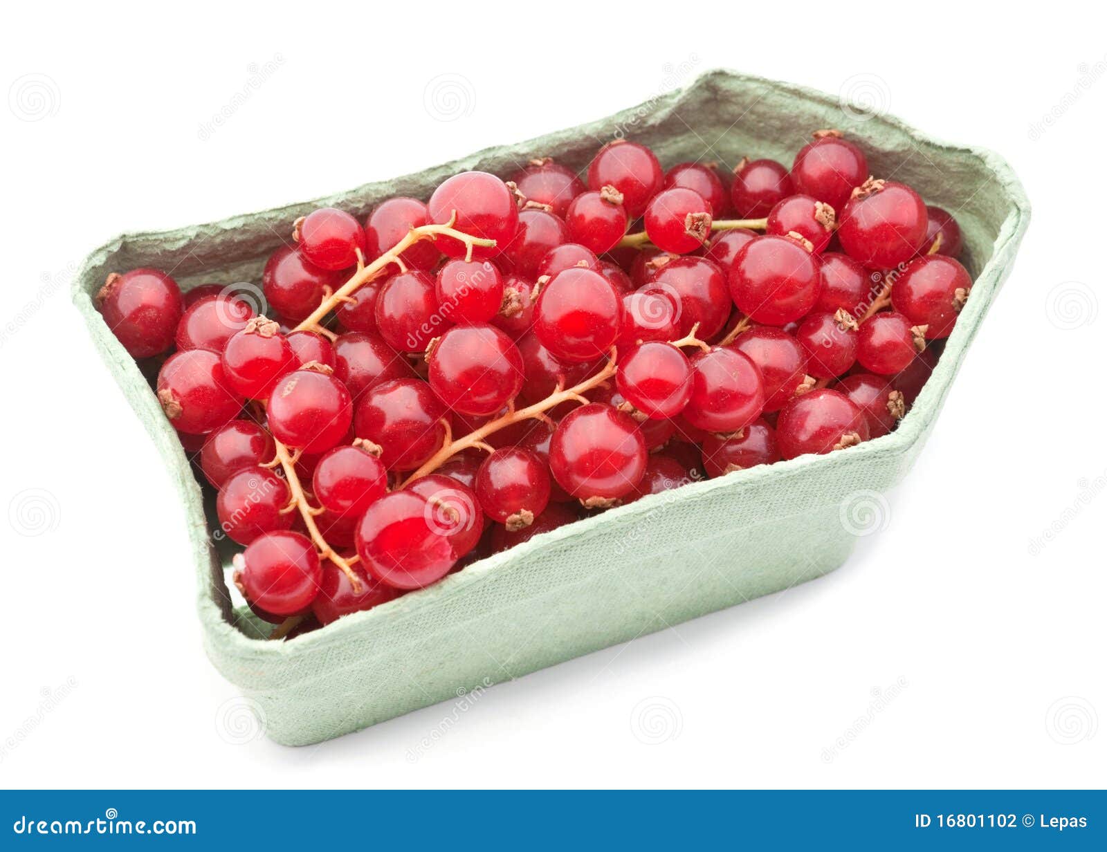 Red currant berry stock photo. Image of white, freshness - 16801102