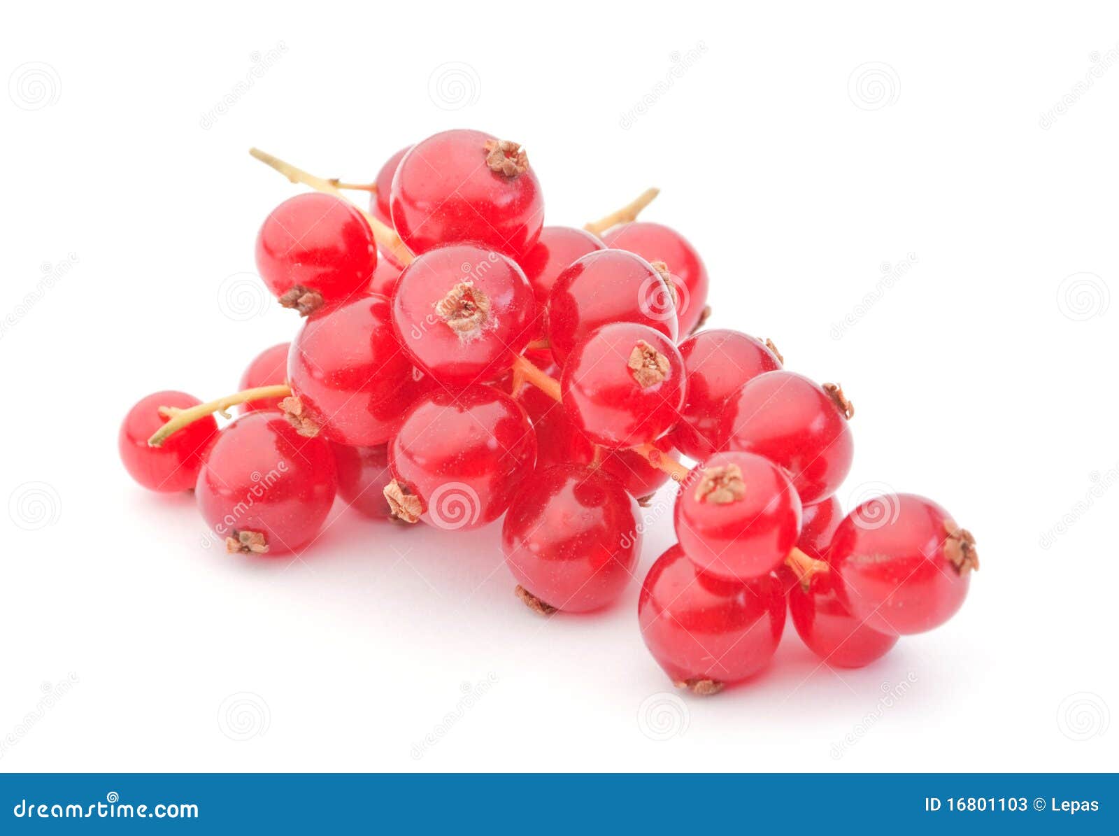 Red currant berry stock image. Image of fruit, ingredient - 16801103