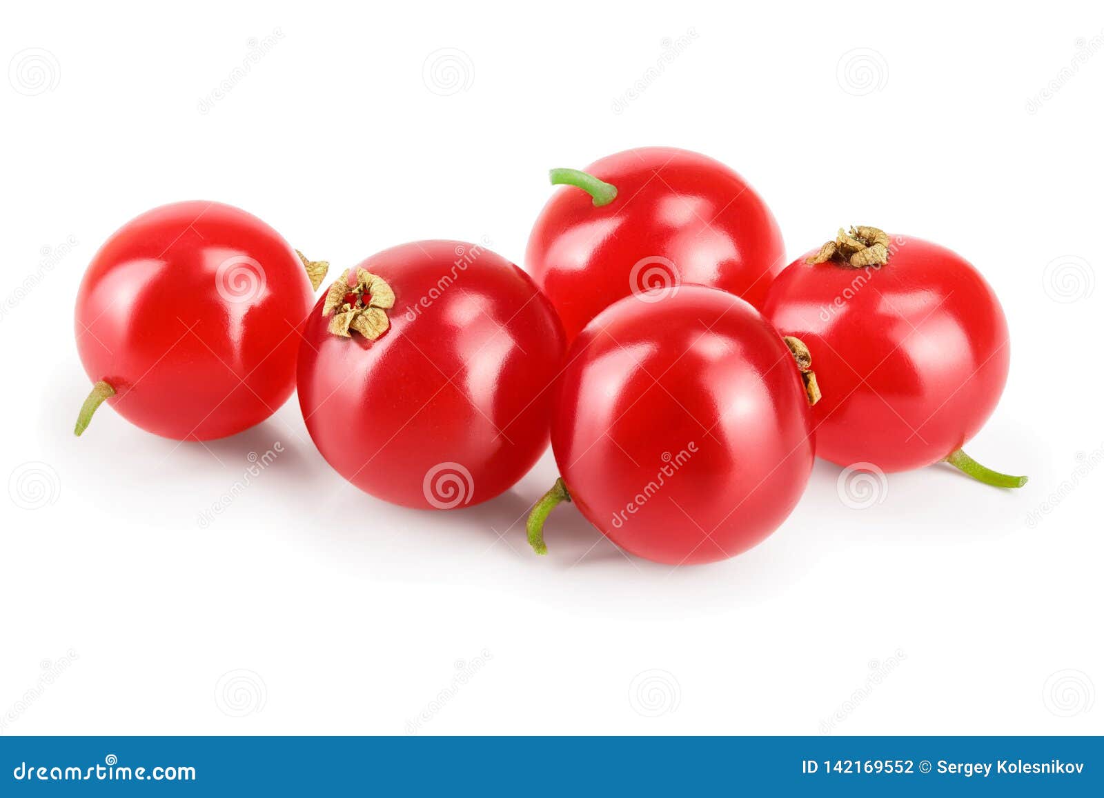 Red Currant Berry Isolated on White Background Stock Photo - Image of ...
