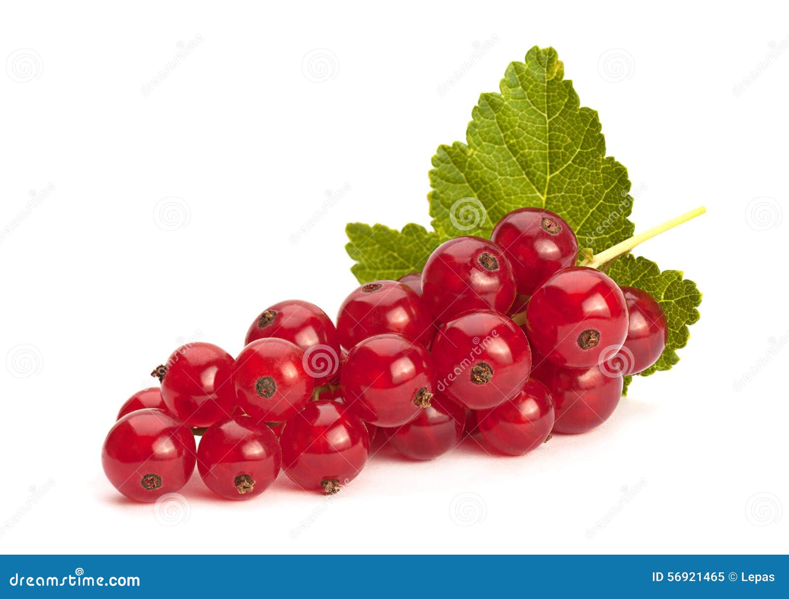 Red currant berry stock image. Image of green, currant - 56921465