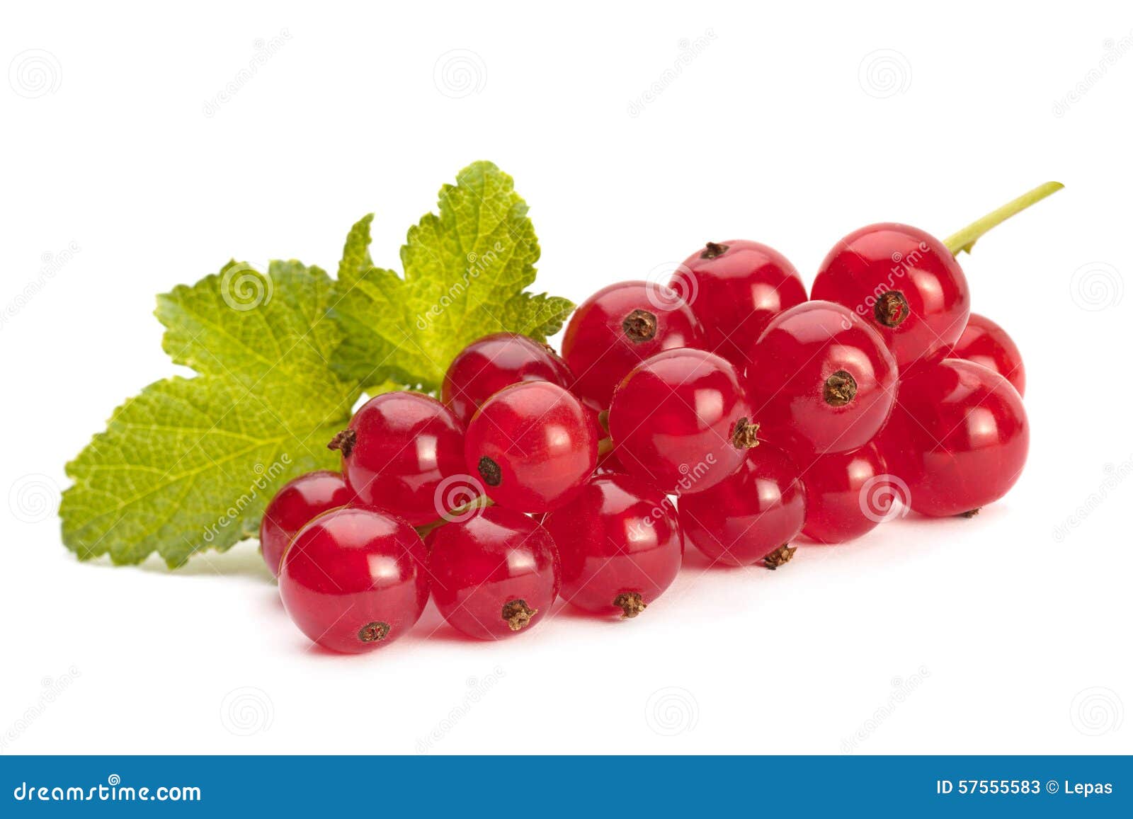Red currant berry stock image. Image of berry, leaf, closeup - 57555583