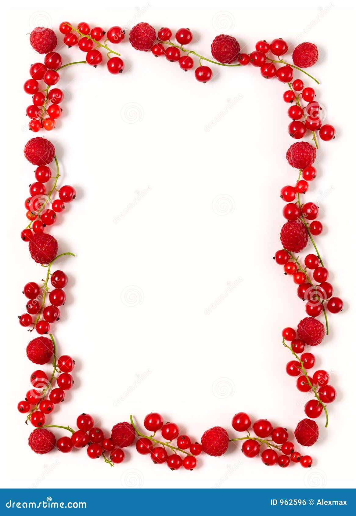 Red currant border stock photo. Image of beautiful, healthy - 962596