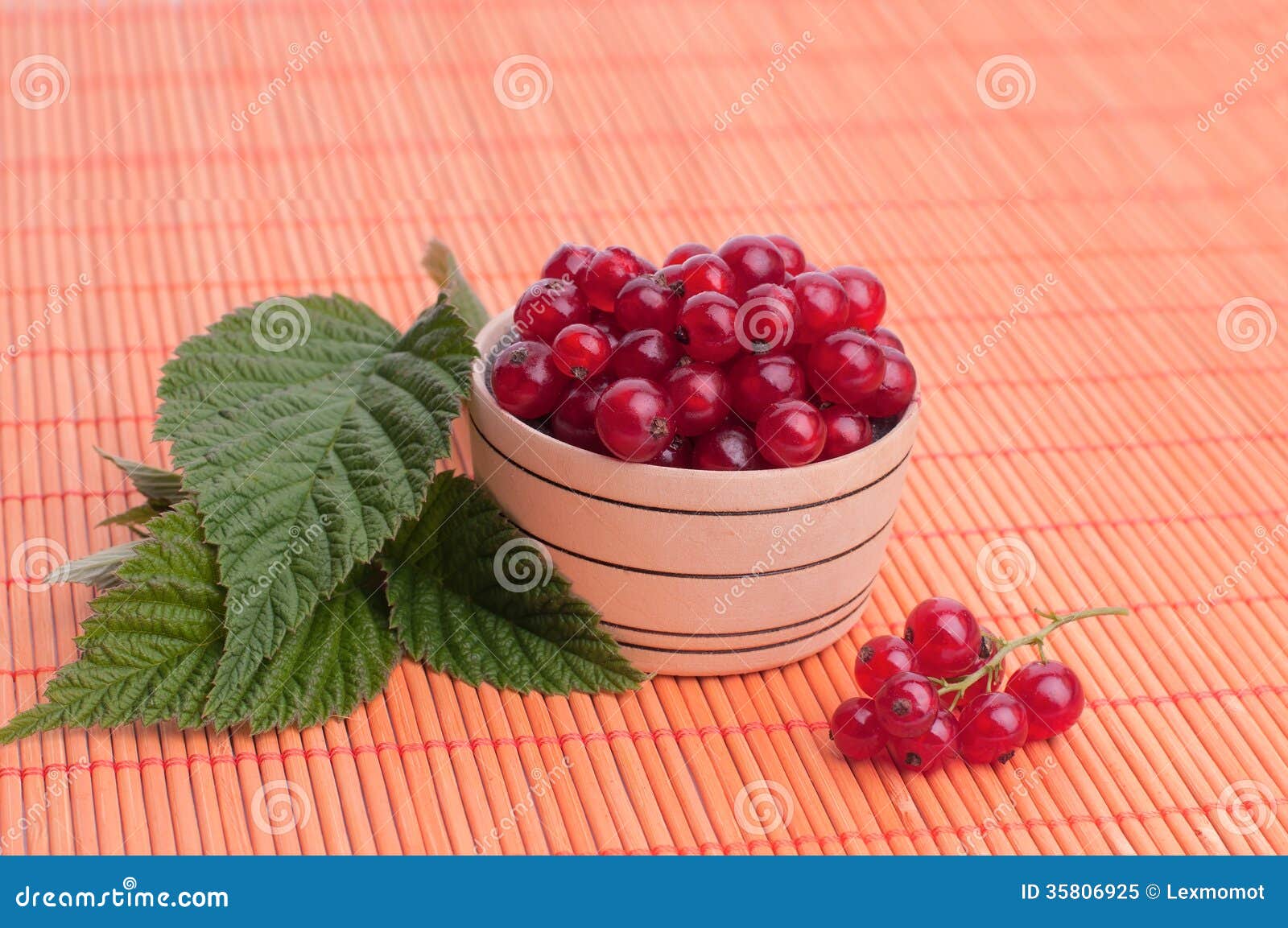 Red Currant stock image. Image of gourmet, foreground - 35806925