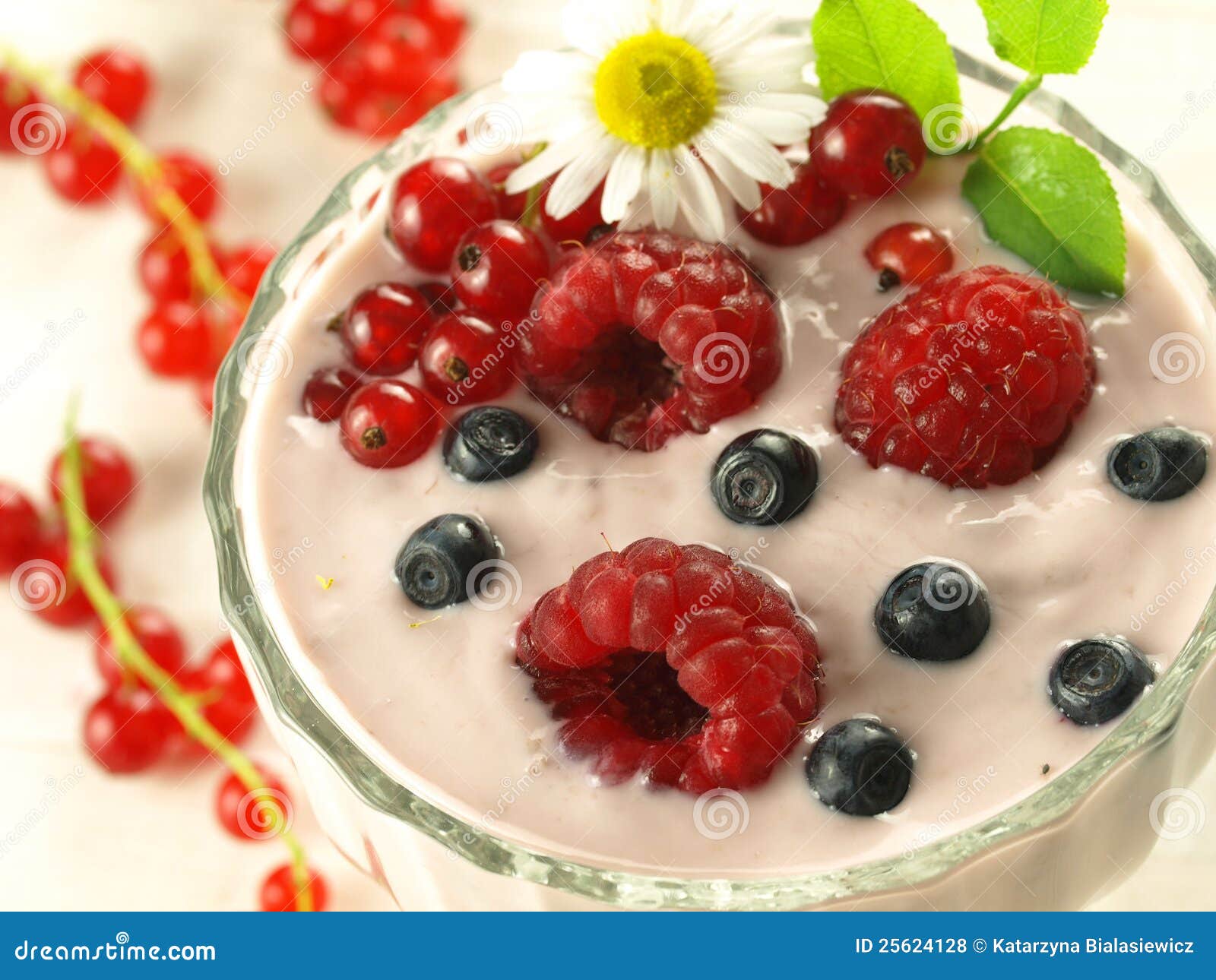 Red currant dessert stock photo. Image of bowl, closeup - 25624128