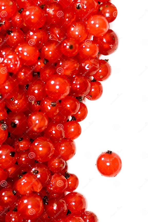 Red currant frame stock image. Image of light, fresh - 10134165