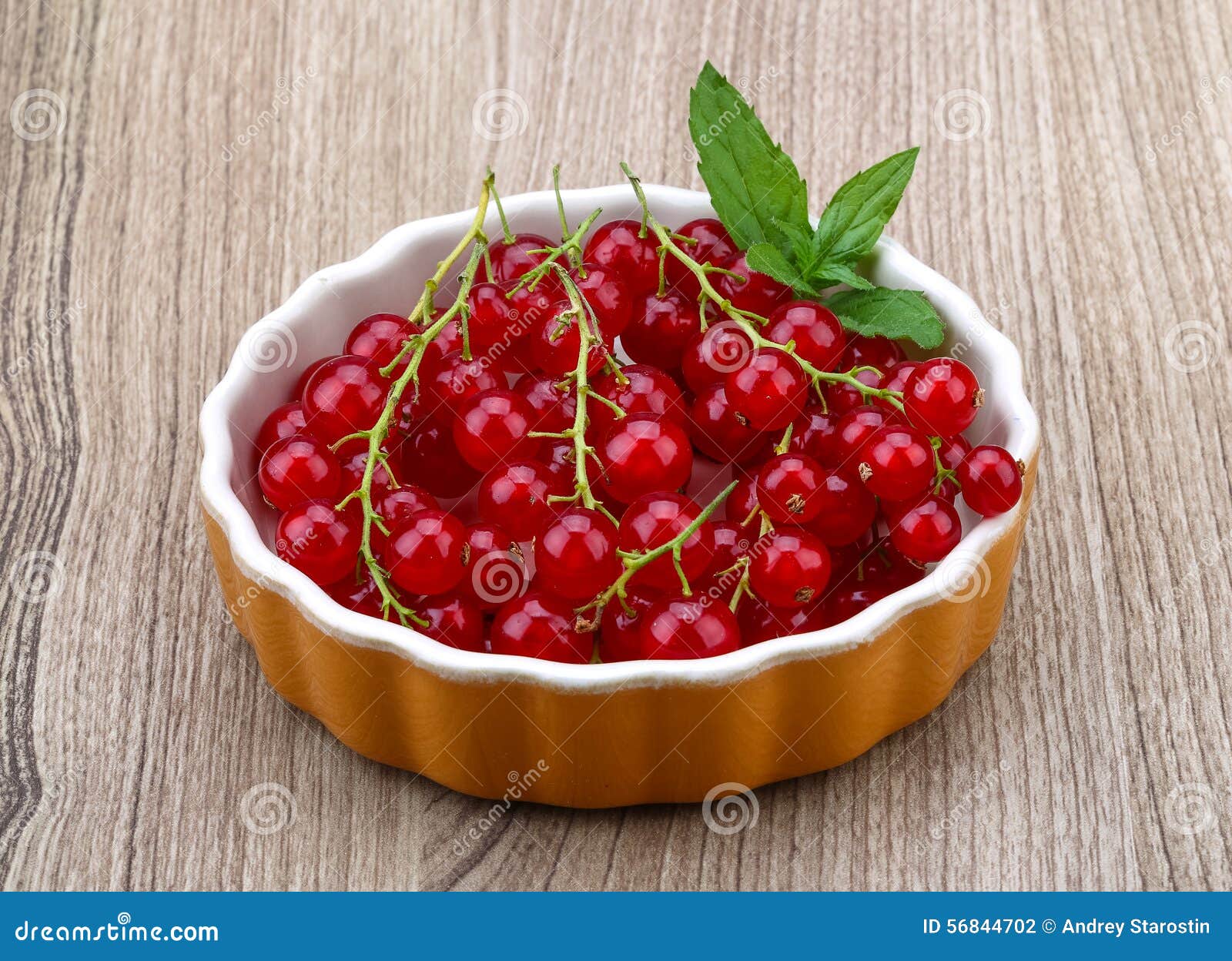 Red currant stock photo. Image of macro, mint, bunch - 56844702