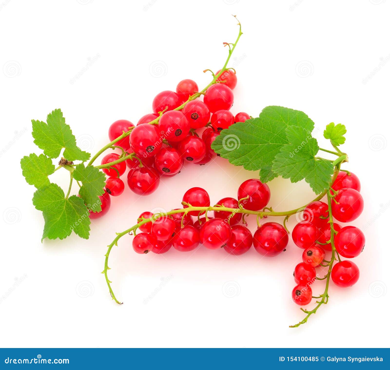 Red currant fruit stock image. Image of stem, background - 154100485