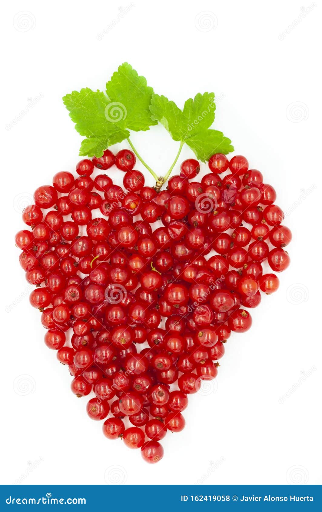 Red Currant and Green Leaf - Ribes Rubrum - Heart Stock Photo - Image ...
