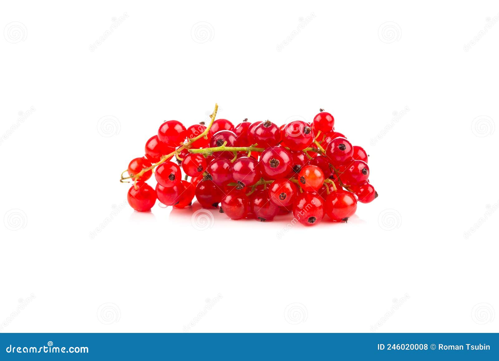 Red currant isolated stock photo. Image of summer, group - 246020008