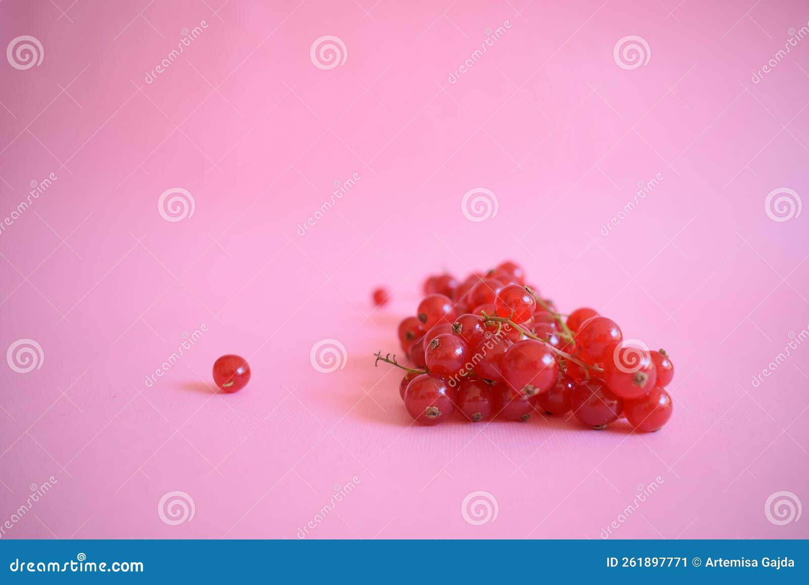 Red Currant Isolated on Pink Background Stock Image - Image of healthy ...