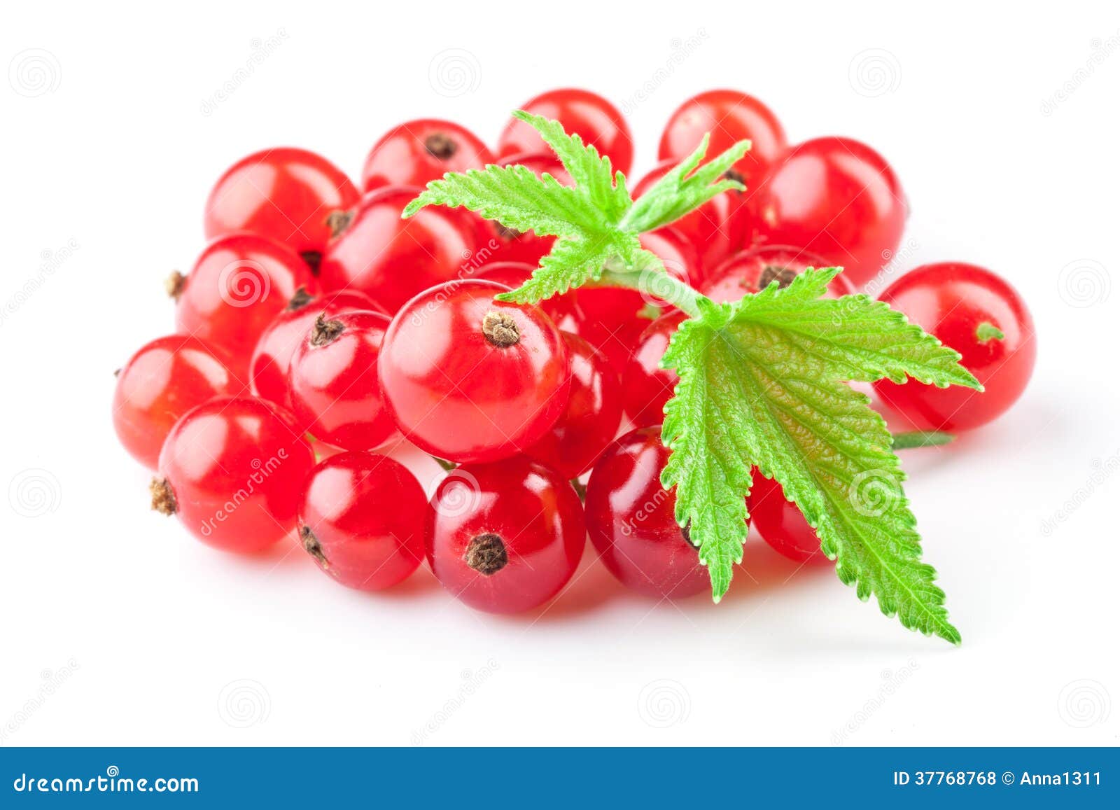 Red Currant with Leaves Isolated Stock Photo - Image of bunch ...
