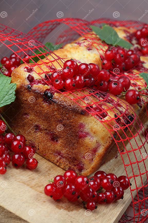 Red currant sponge cake stock image. Image of pastry - 15378349