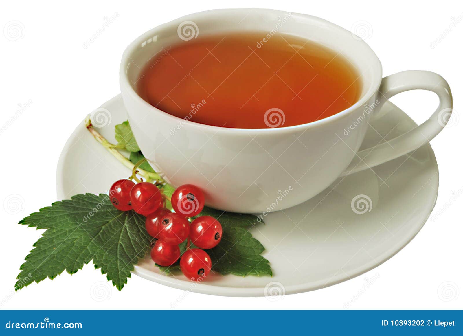 Red currant tea stock photo. Image of currant, heat, healthy - 10393202