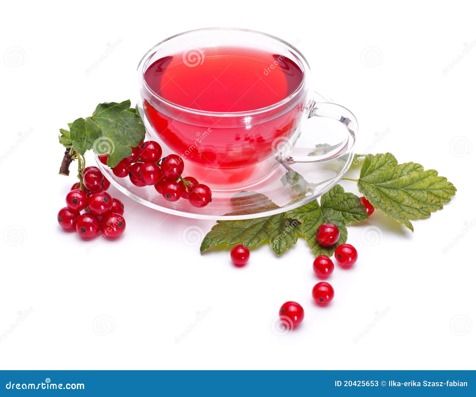 Red currant tea stock image. Image of leaves, healthy - 20425653