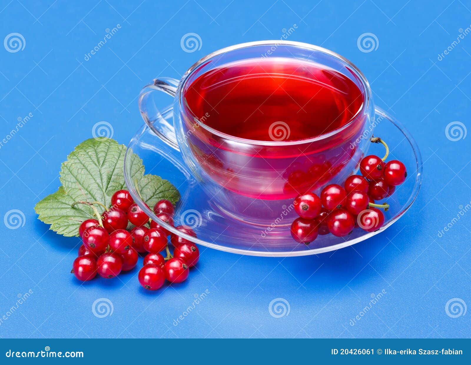 Red currant tea stock image. Image of plant, closeup - 20426061