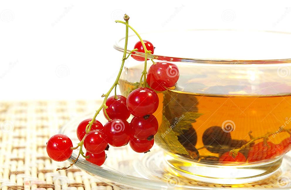 Red currant and tea stock photo. Image of fruit, liquid - 5552136