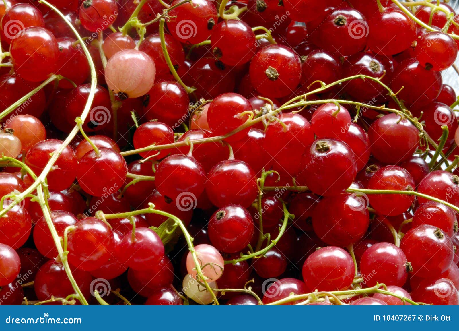 Red currants stock image. Image of color, selective, fruit - 10407267