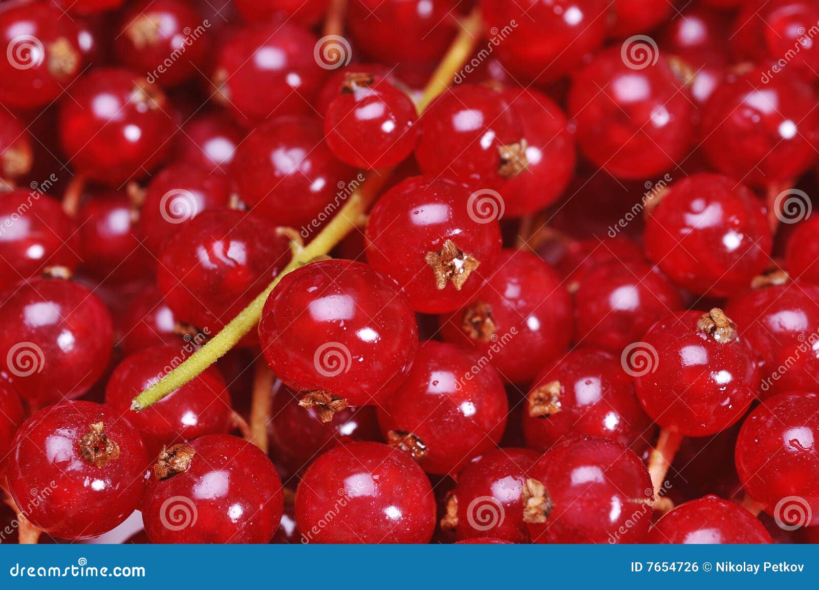 Red currants stock photo. Image of wallpaper, texture - 7654726