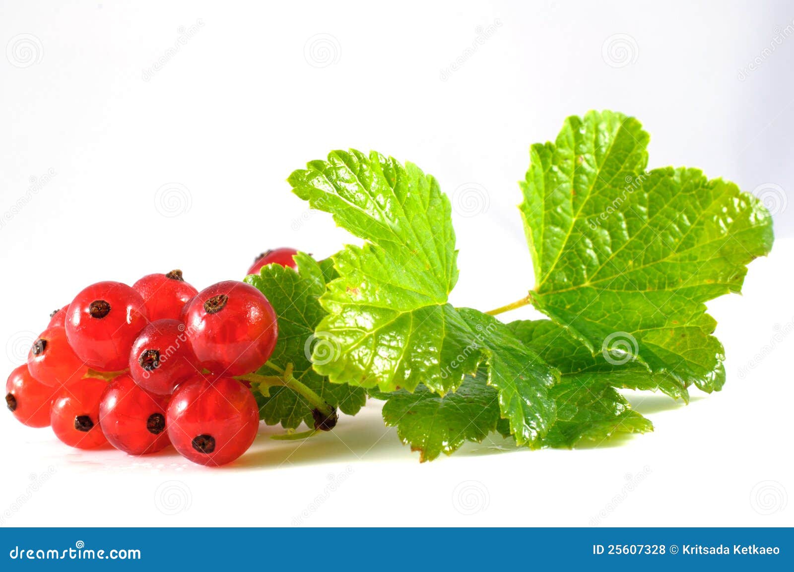 Red currants closeup stock photo. Image of sweet, color - 25607328