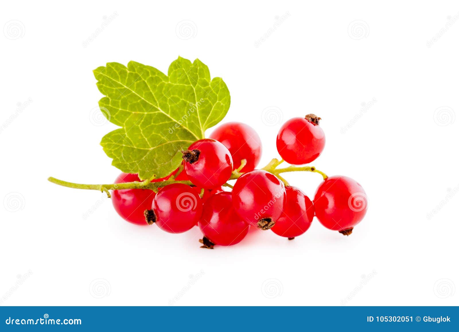 Red Currants Isolated on White Stock Image - Image of studio, vitamin ...