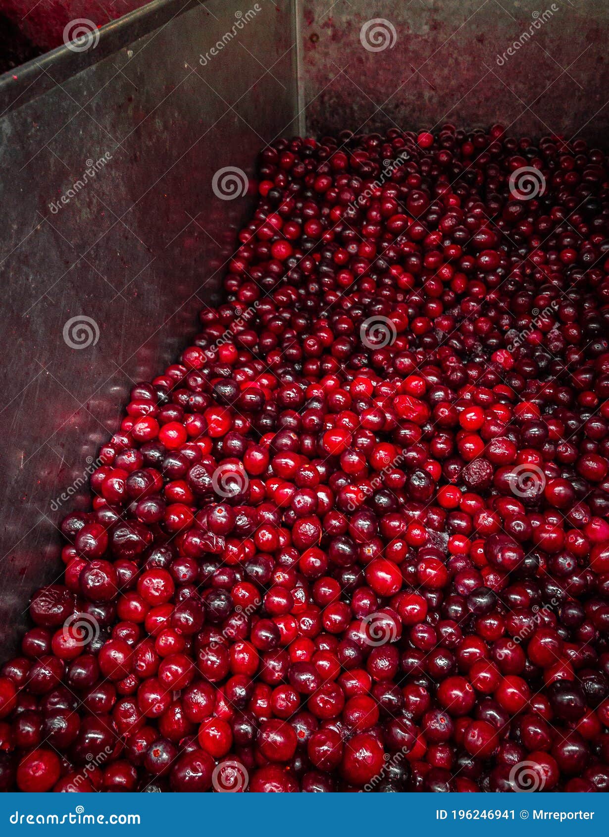 Red currant stock image. Image of agricultural, sour - 196246941