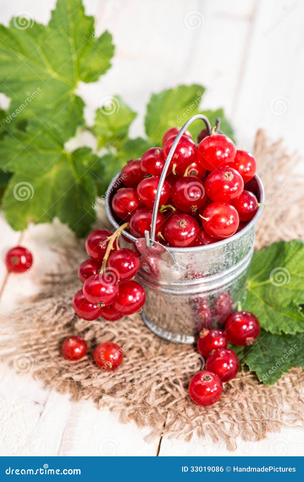Red Currants stock photo. Image of fruit, nature, berries - 33019086