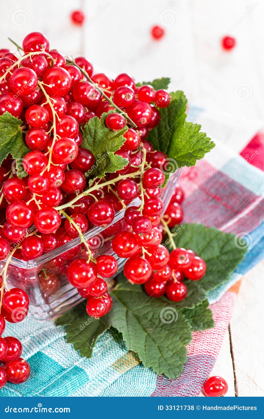 Red Currants stock photo. Image of natural, harvested - 33121738
