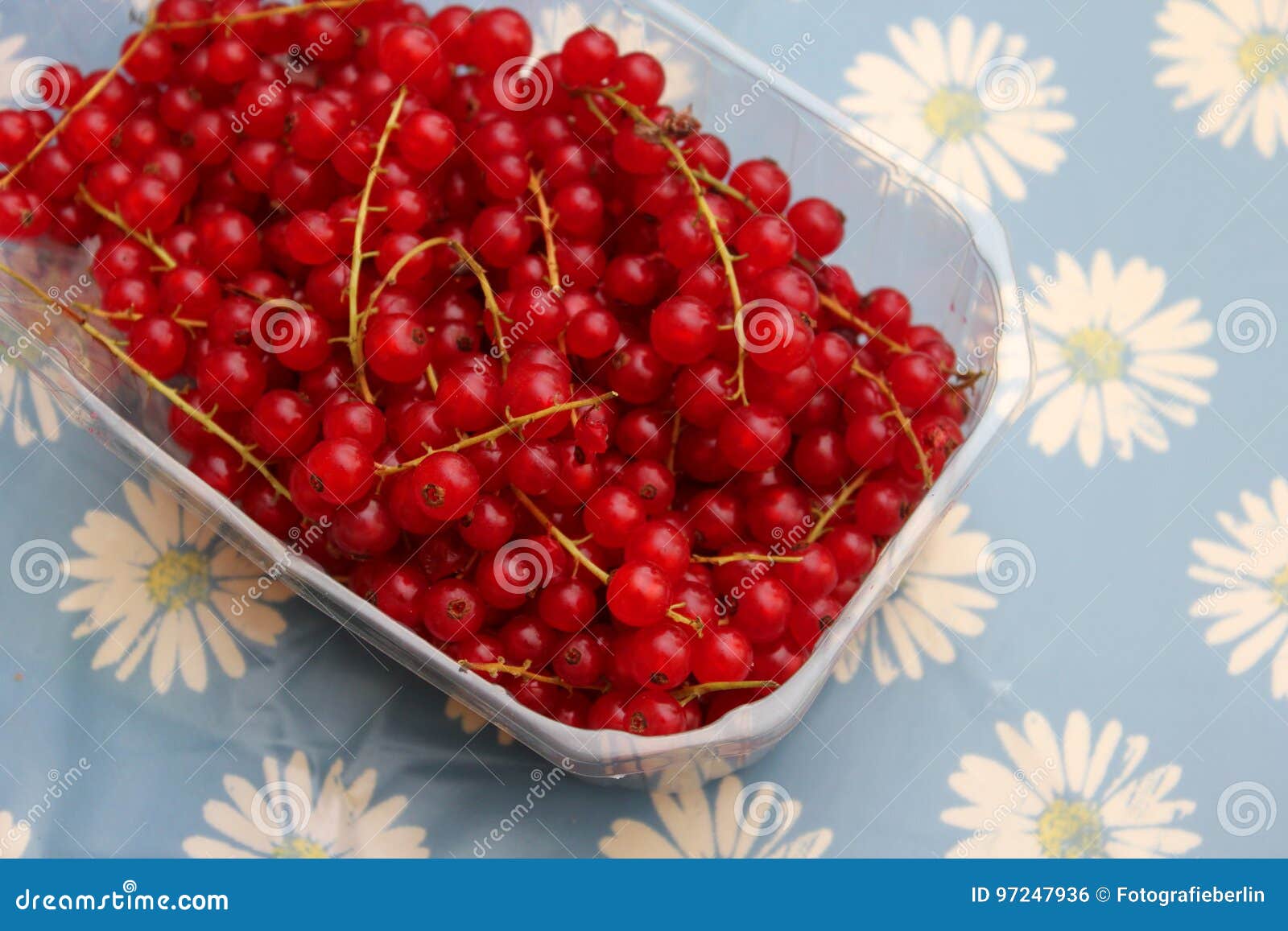 Red Currants stock photo. Image of lingonberry, dessert - 97247936