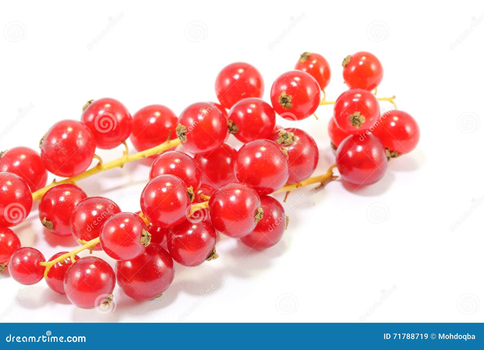 Red Current Berry stock image. Image of closeup, fresh - 71788719