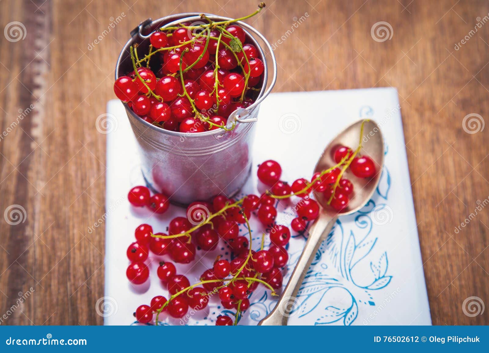 Red current in bucket stock photo. Image of branch, background - 76502612