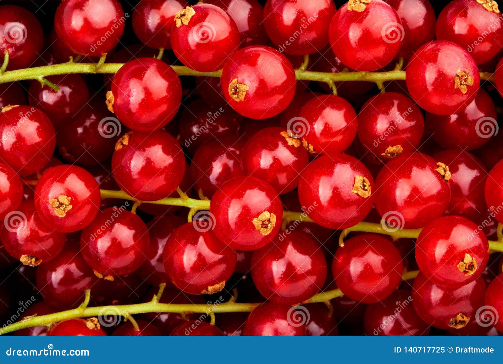Red current stock image. Image of juicy, ripe, cluster - 140717725