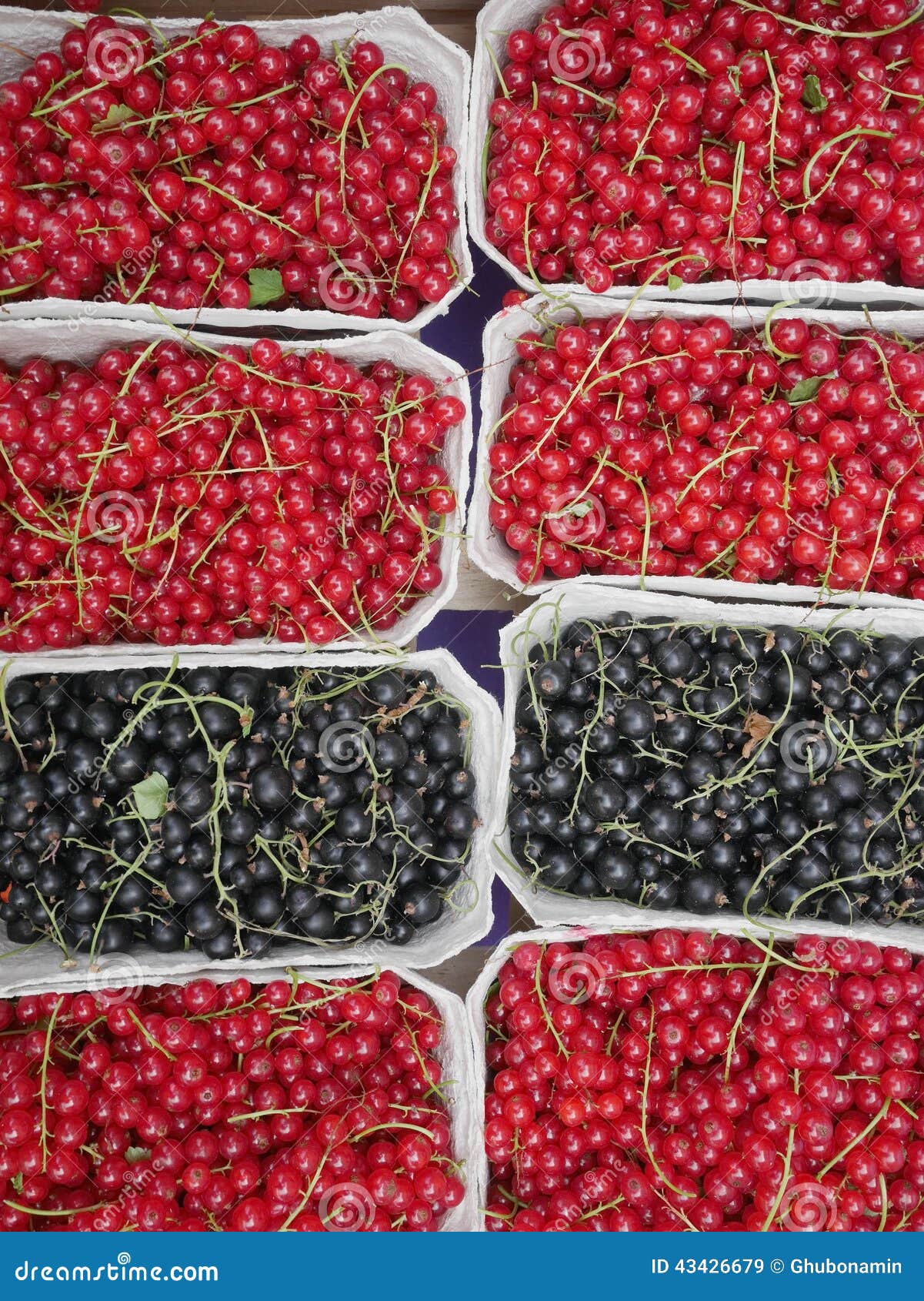 Red current market stock image. Image of stem, ripe, market - 43426679