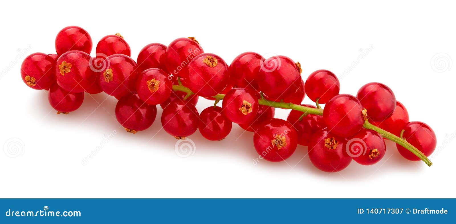 Red current stock image. Image of shiny, nutrient, round - 140717307