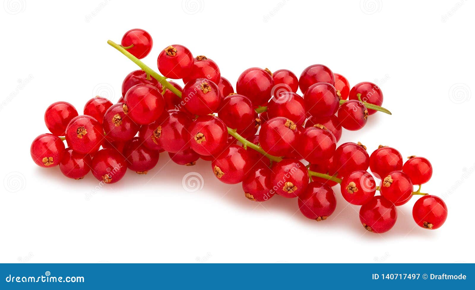 Red current stock image. Image of juicy, currents, cluster - 140717497