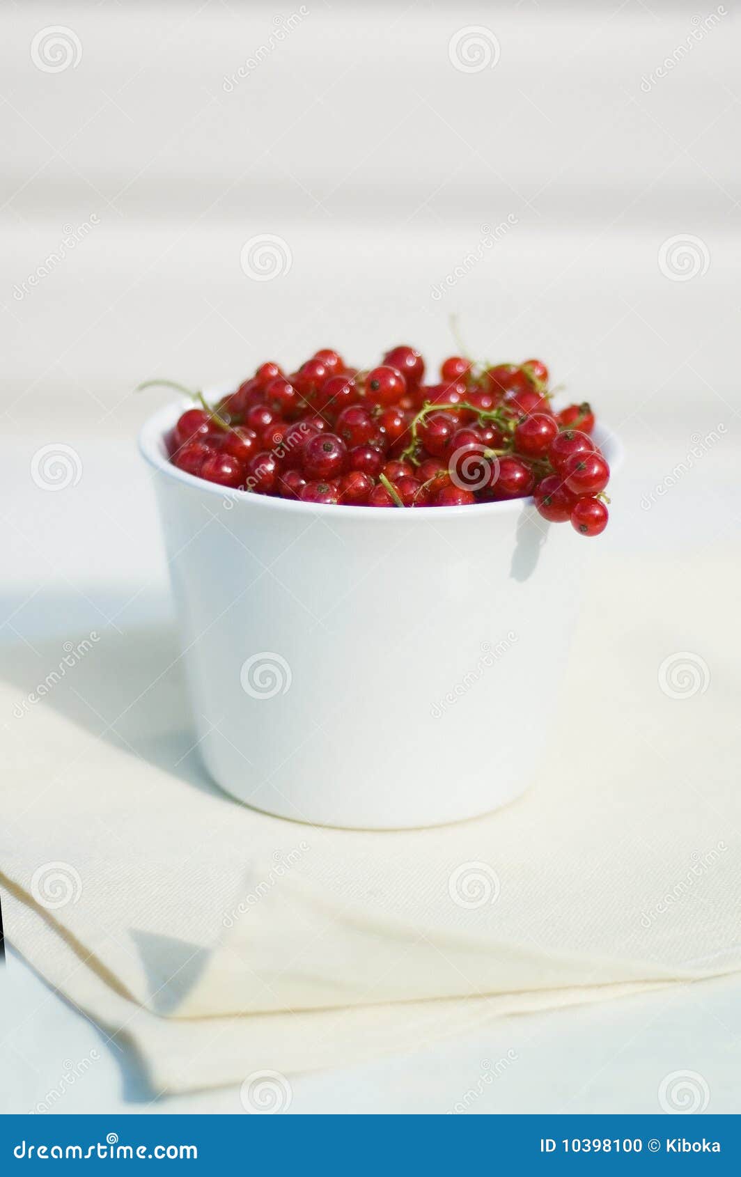 Red currents stock photo. Image of vegetarian, healthcare - 10398100