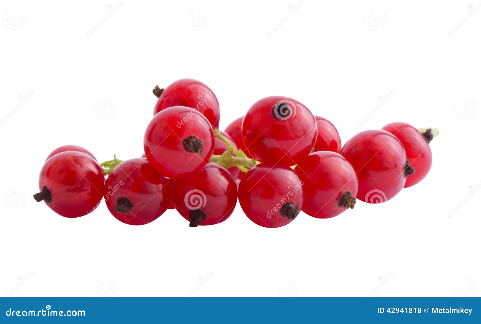 Red currents stock photo. Image of ripe, green, natural - 42941818