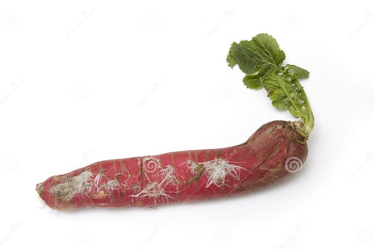 Red Daikon or Mooli stock image. Image of ripe, background - 6948363