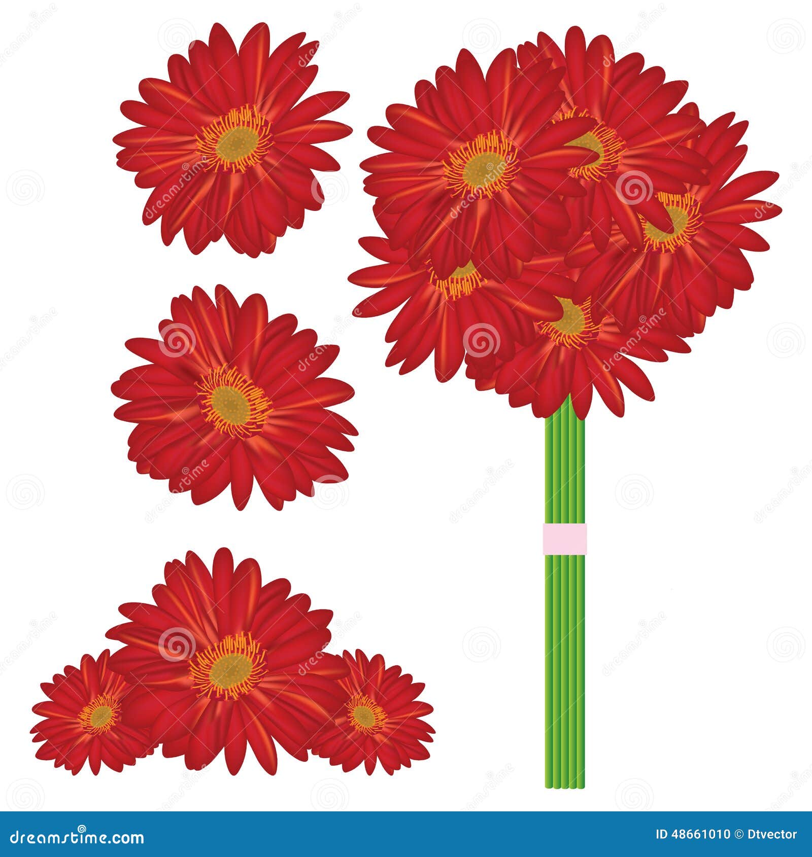 Red daisy stock vector. Illustration of border, botanical - 48661010
