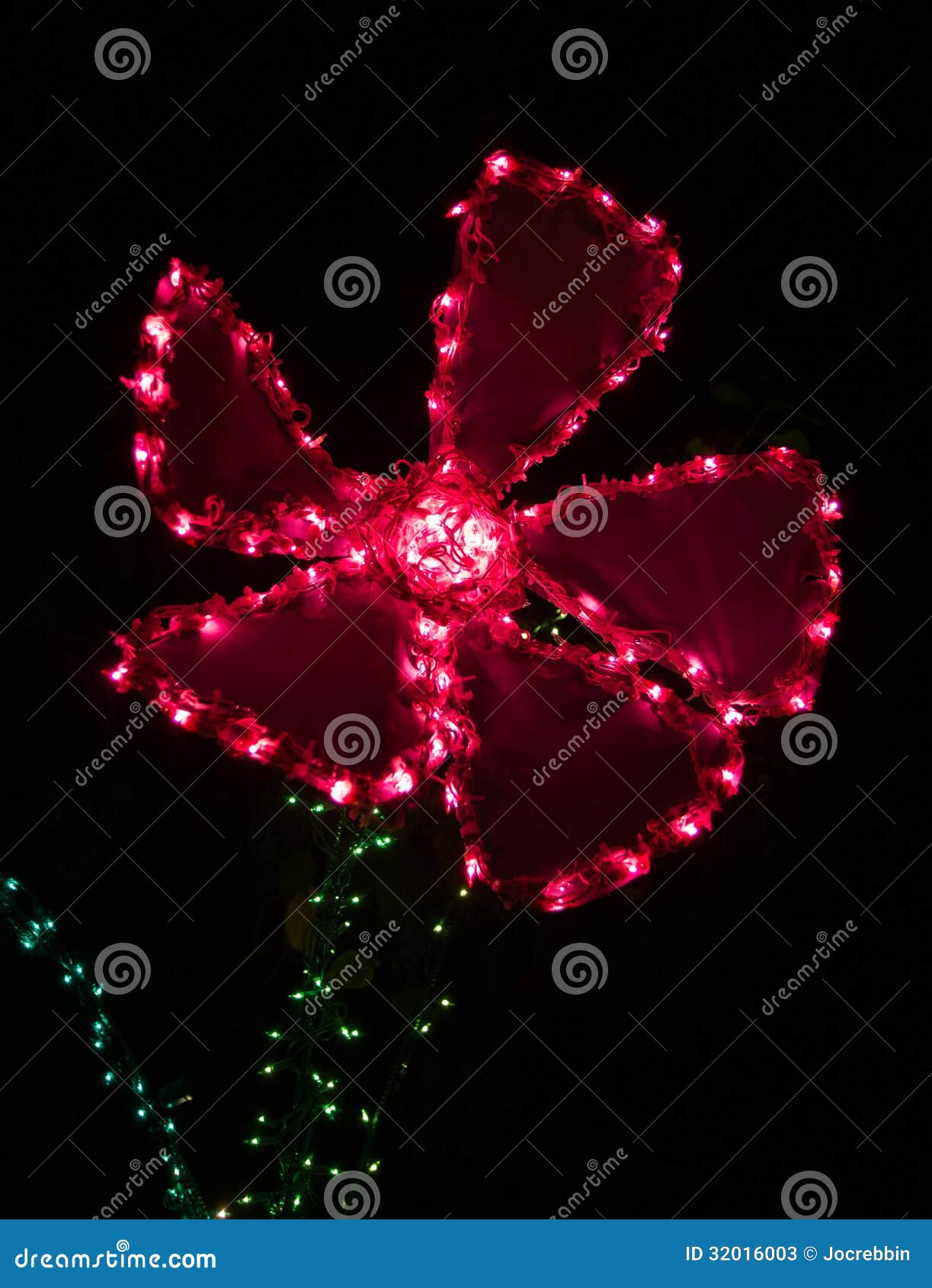 Red Daisy Shaped Christmas Light Decoration Stock Image - Image of burn ...