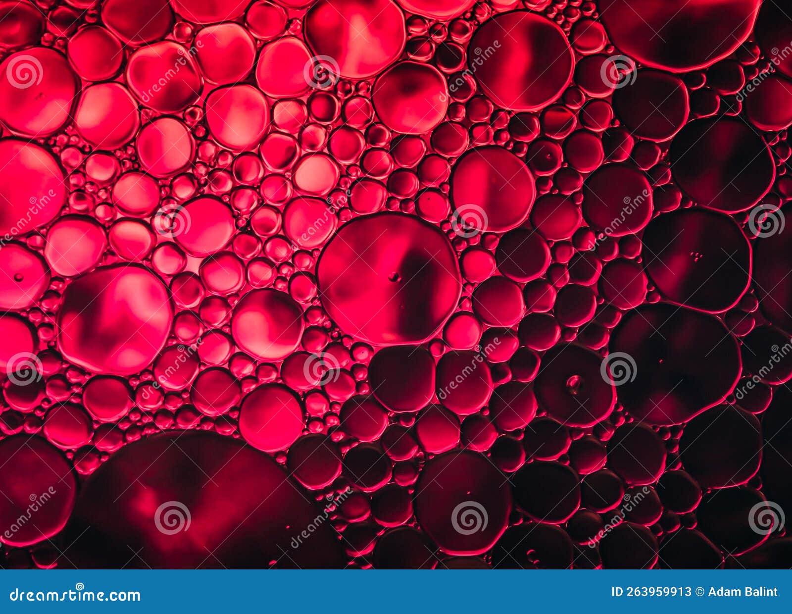 Red and dark bubbles stock image. Image of dark, flower - 263959913