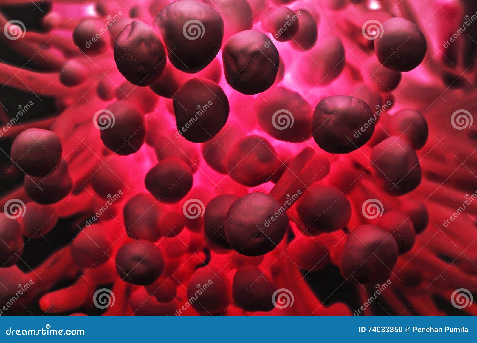 Red and Dark Science Abstract Stock Photo - Image of fluid, medical ...
