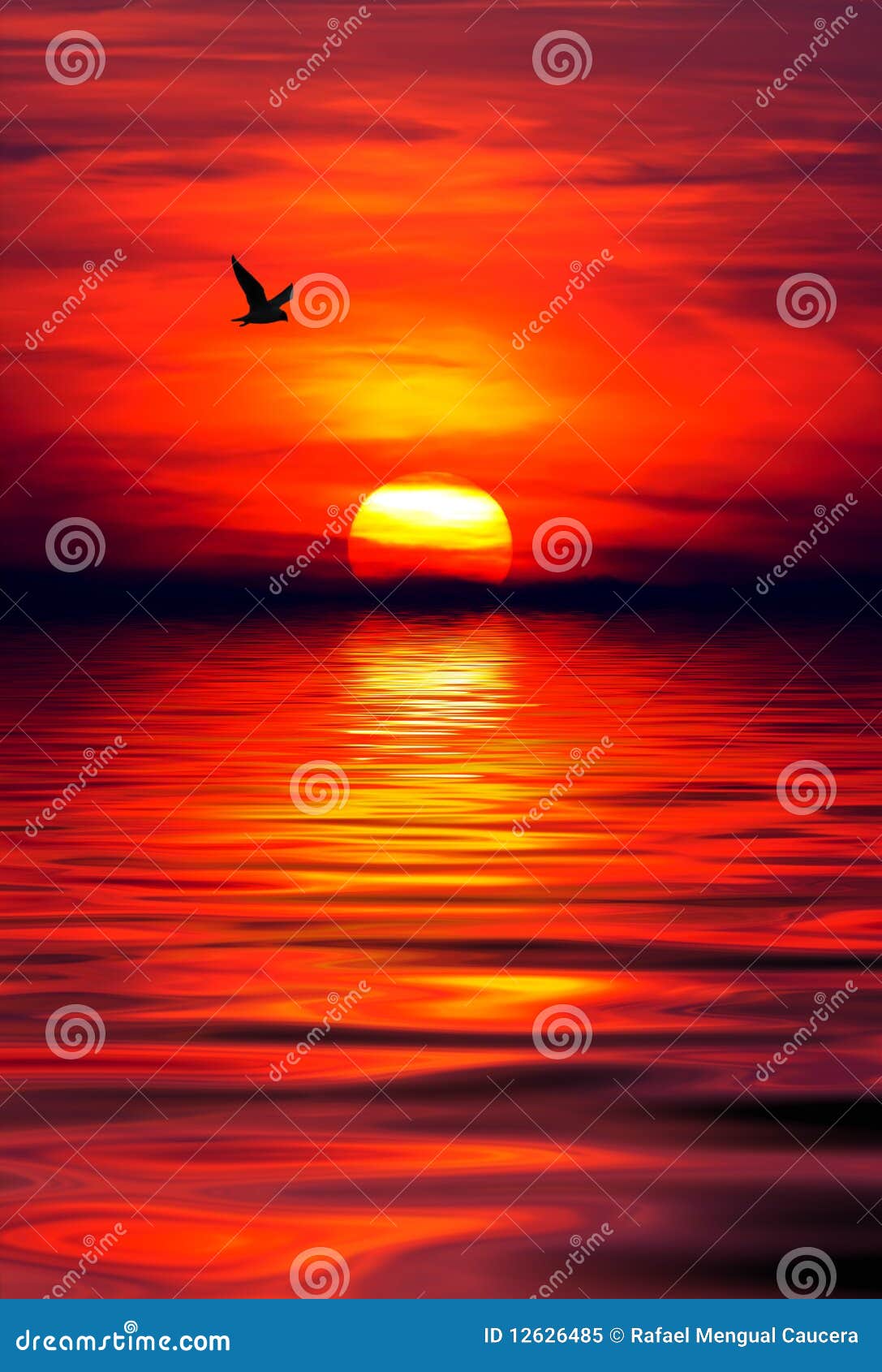 Red dawn stock illustration. Illustration of travel, bird - 12626485