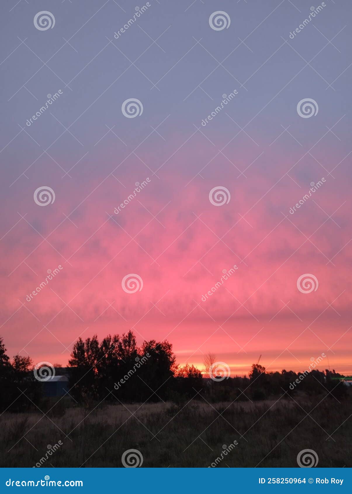 Red dawn stock photo. Image of morning, dawn, evening - 258250964