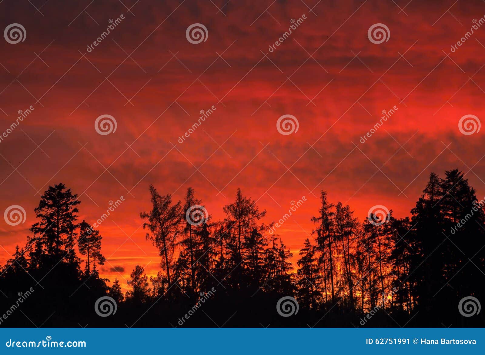 Red dawn over forest stock image. Image of dawn, rouge - 62751991