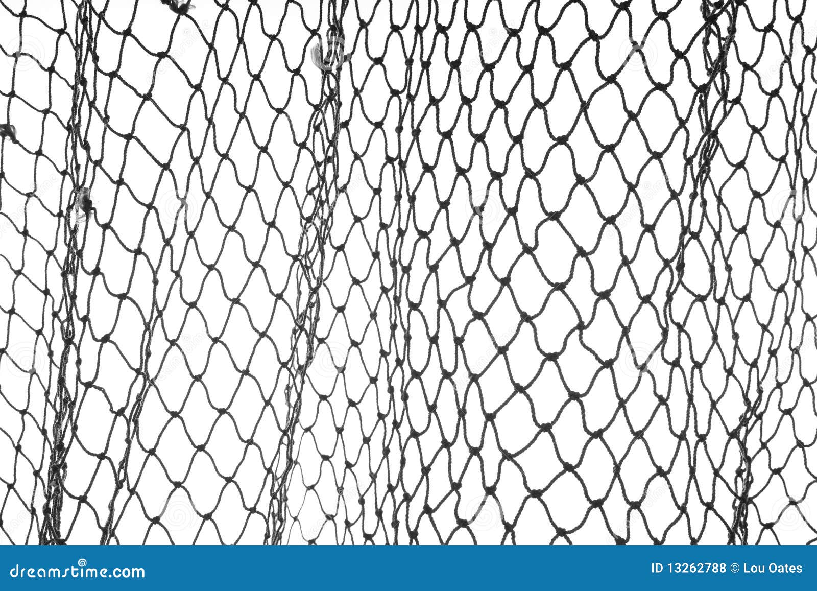Red de los pescados foto de archivo. Imagen de industria - 13262788