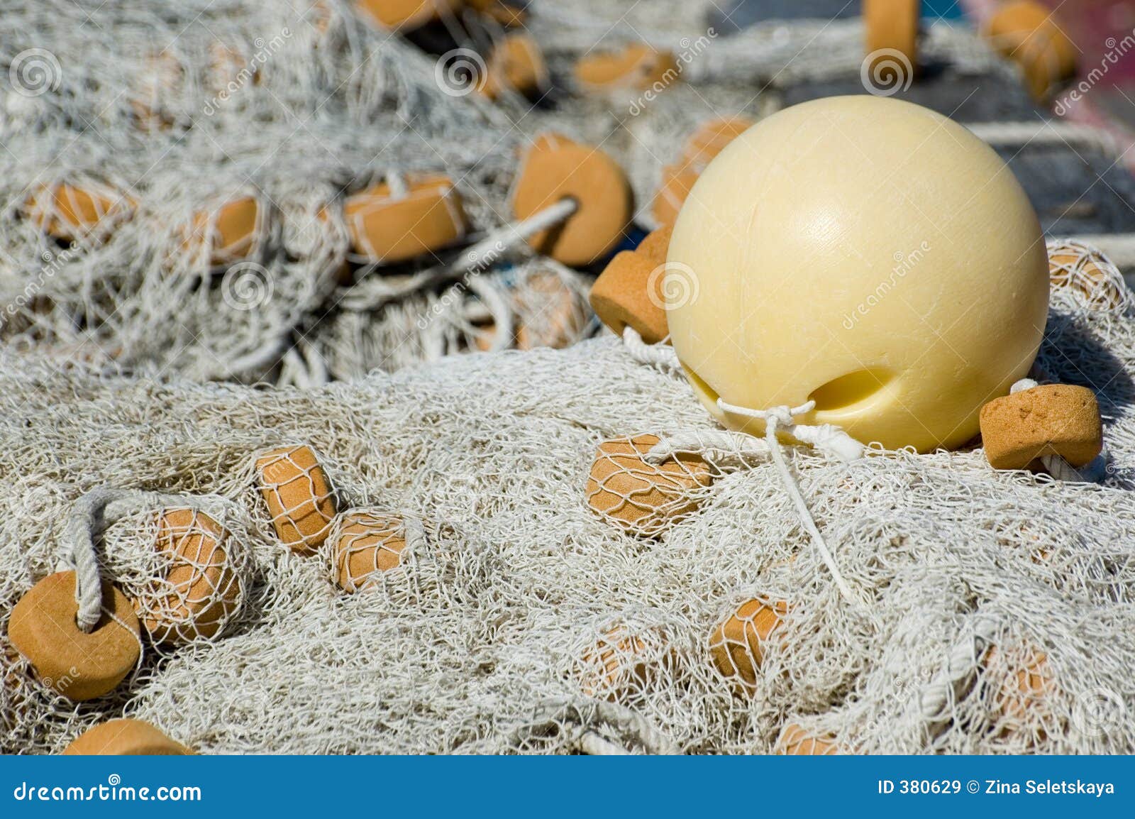 Red de los pescados imagen de archivo. Imagen de lazo, redes - 380629