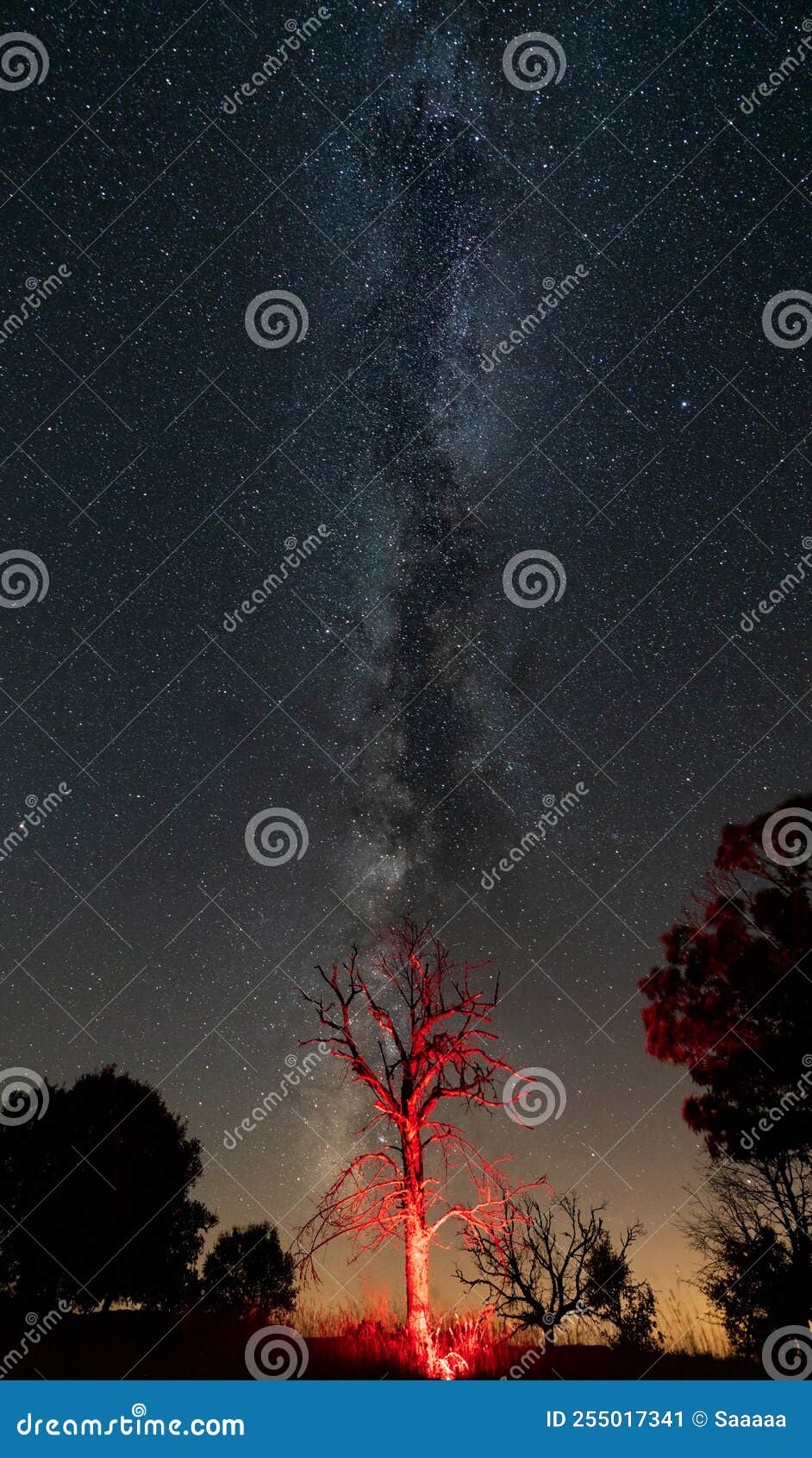 Red Dead Tree Under the Milky Way Stock Image - Image of afterlife ...