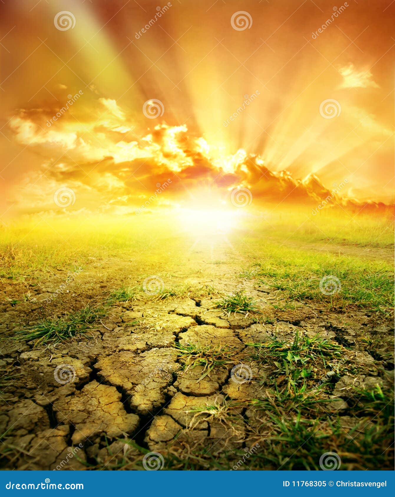 11,096 Red Decline Stock Photos - Free & Royalty-Free Stock Photos from ...