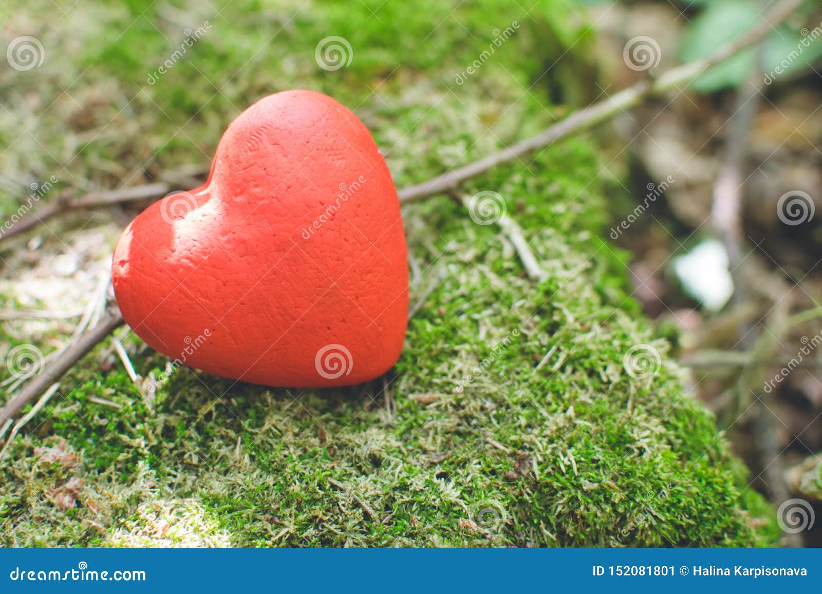 Red Decorative Heart in the Forest. Love Concept Stock Image - Image of ...