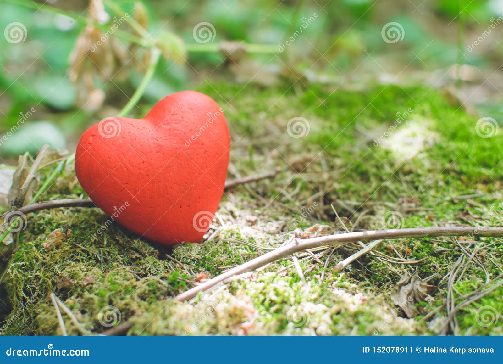 Red Decorative Heart on an Old Tree Stump. Love Concept Stock Image ...